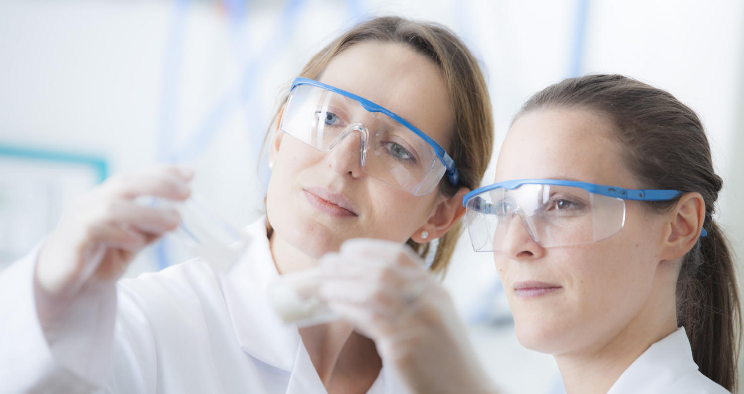 SDTech Groupe – SDTech Group